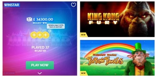 Ojo Slots | Playojo Casino slots | 50 Free Spins To Play Slots